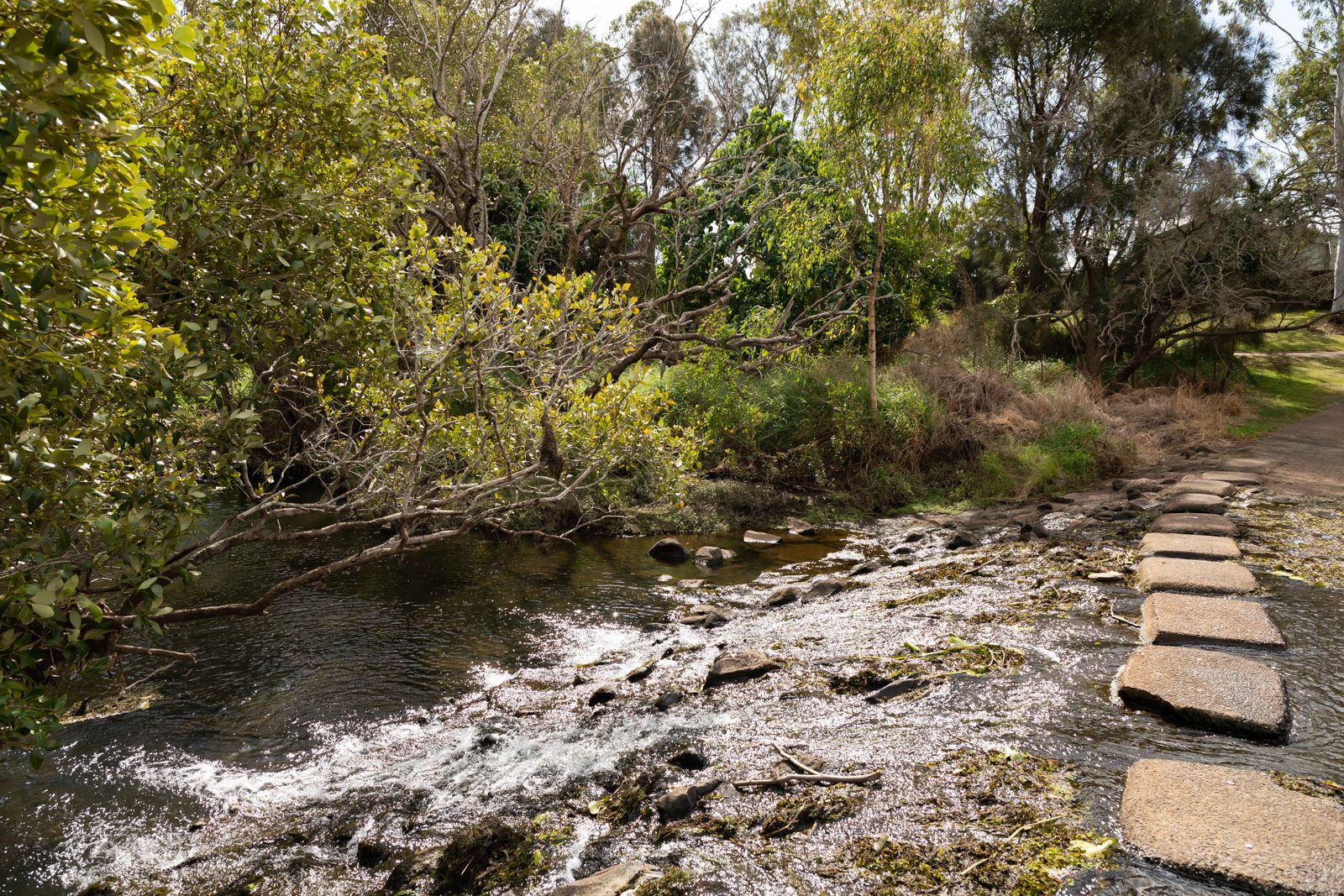 Explore our region: Baldwin Swamp Environmental Park – BRC Now | the ...