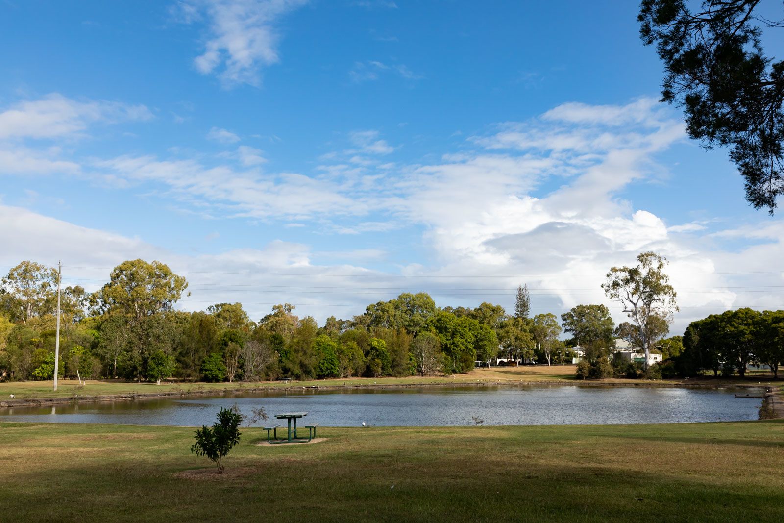 Explore our region: Baldwin Swamp Environmental Park – BRC Now | the ...