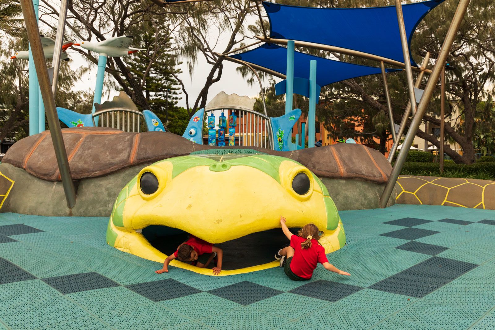 Explore our region: Bargara Turtle Park – BRC Now | the latest from ...