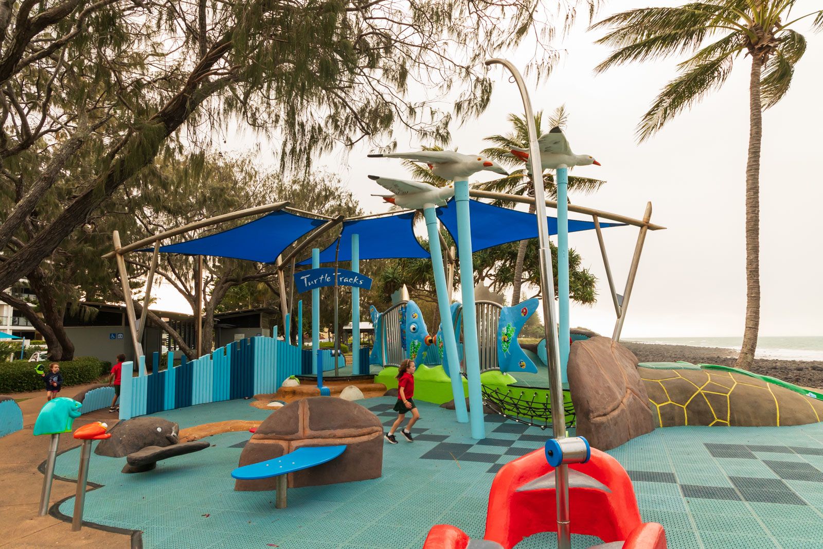 Explore our region: Bargara Turtle Park – BRC Now | the latest from ...