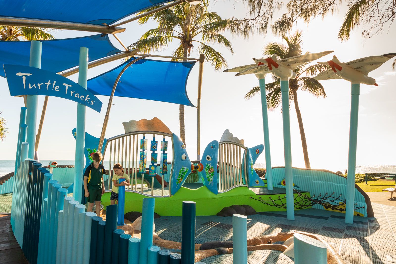 Explore our region: Bargara Turtle Park – BRC Now | the latest from ...