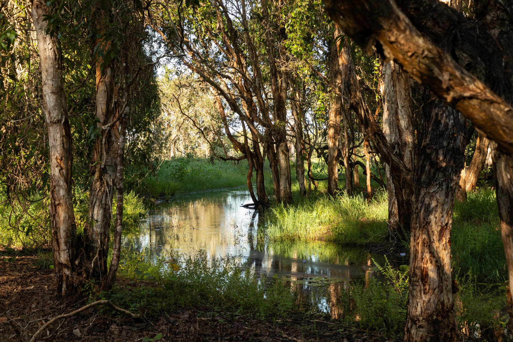 Explore our region: Barolin Nature Reserve – BRC Now | the latest from ...