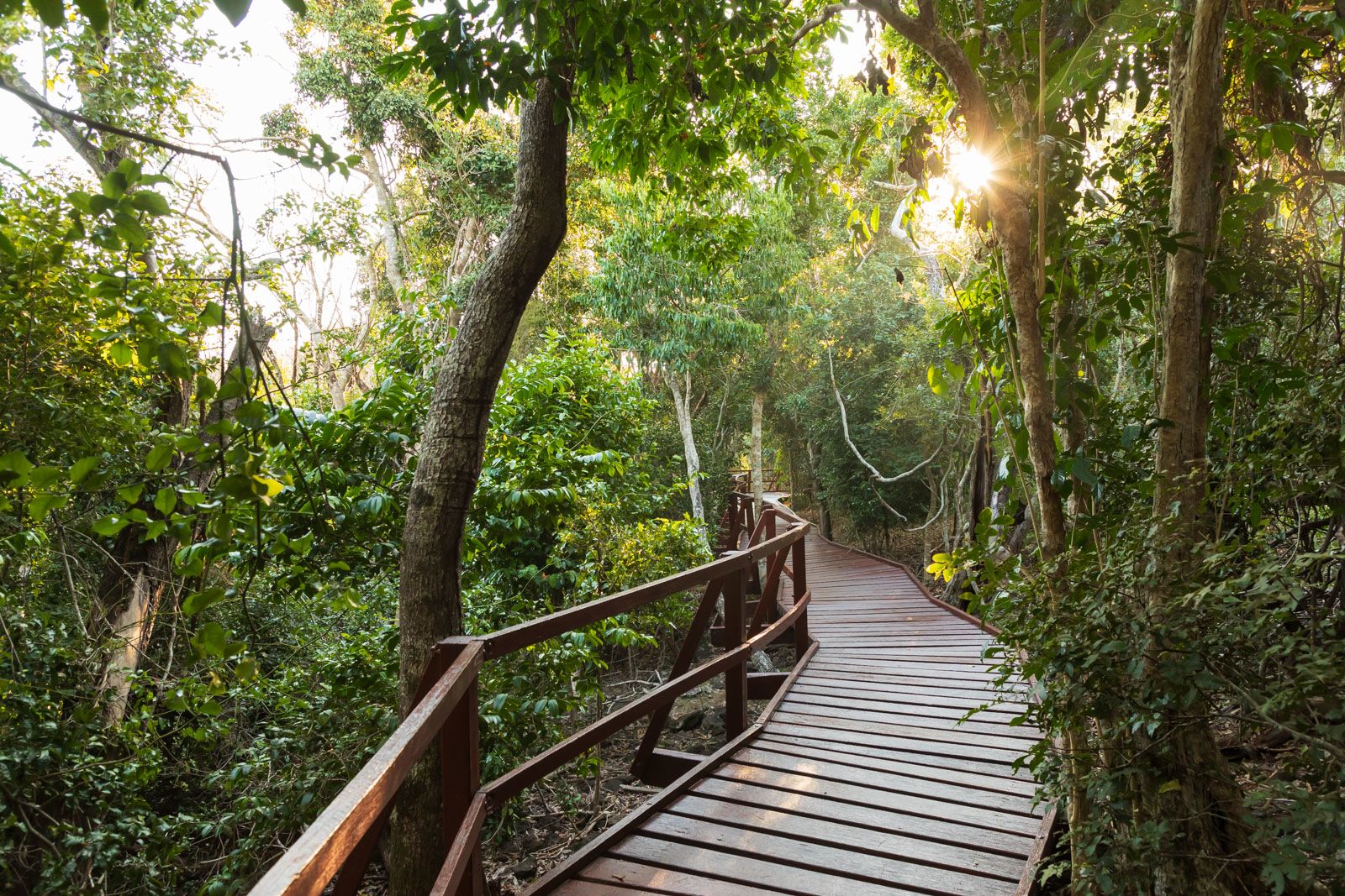 Explore our region: Hummock Reserve – BRC Now | the latest from your ...