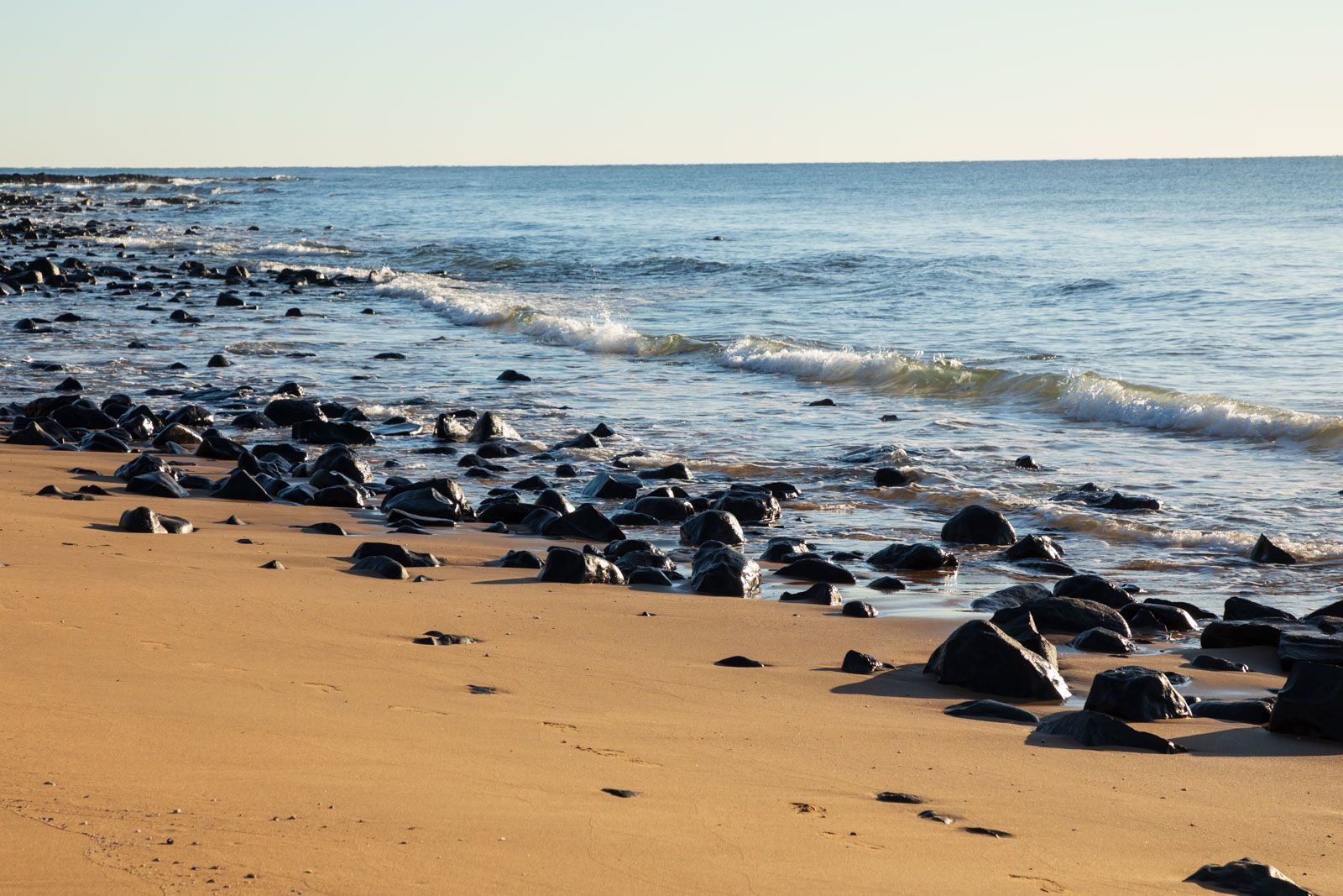 Explore our region: Innes Park Reserve – BRC Now | the latest from your ...