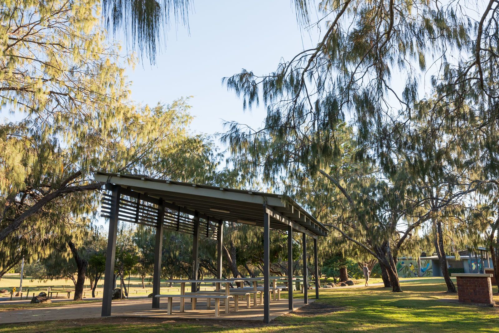 Explore our region: Innes Park Reserve – BRC Now | the latest from your ...