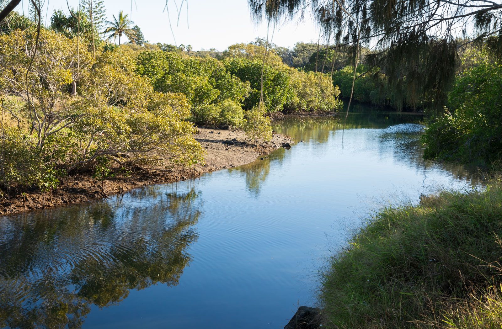 Explore our region: Innes Park Reserve – BRC Now | the latest from your ...