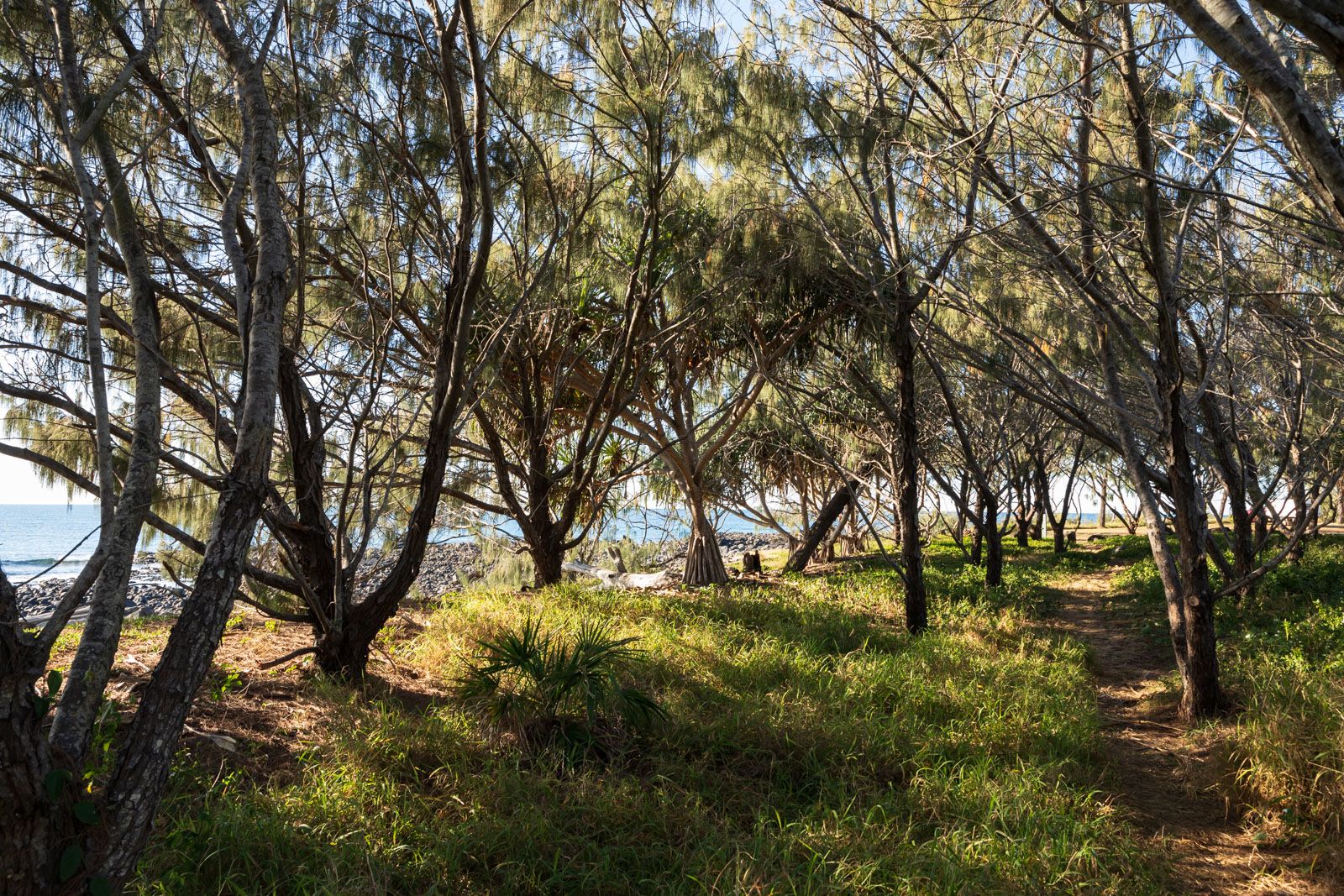 Explore our region: Innes Park Reserve – BRC Now | the latest from your ...