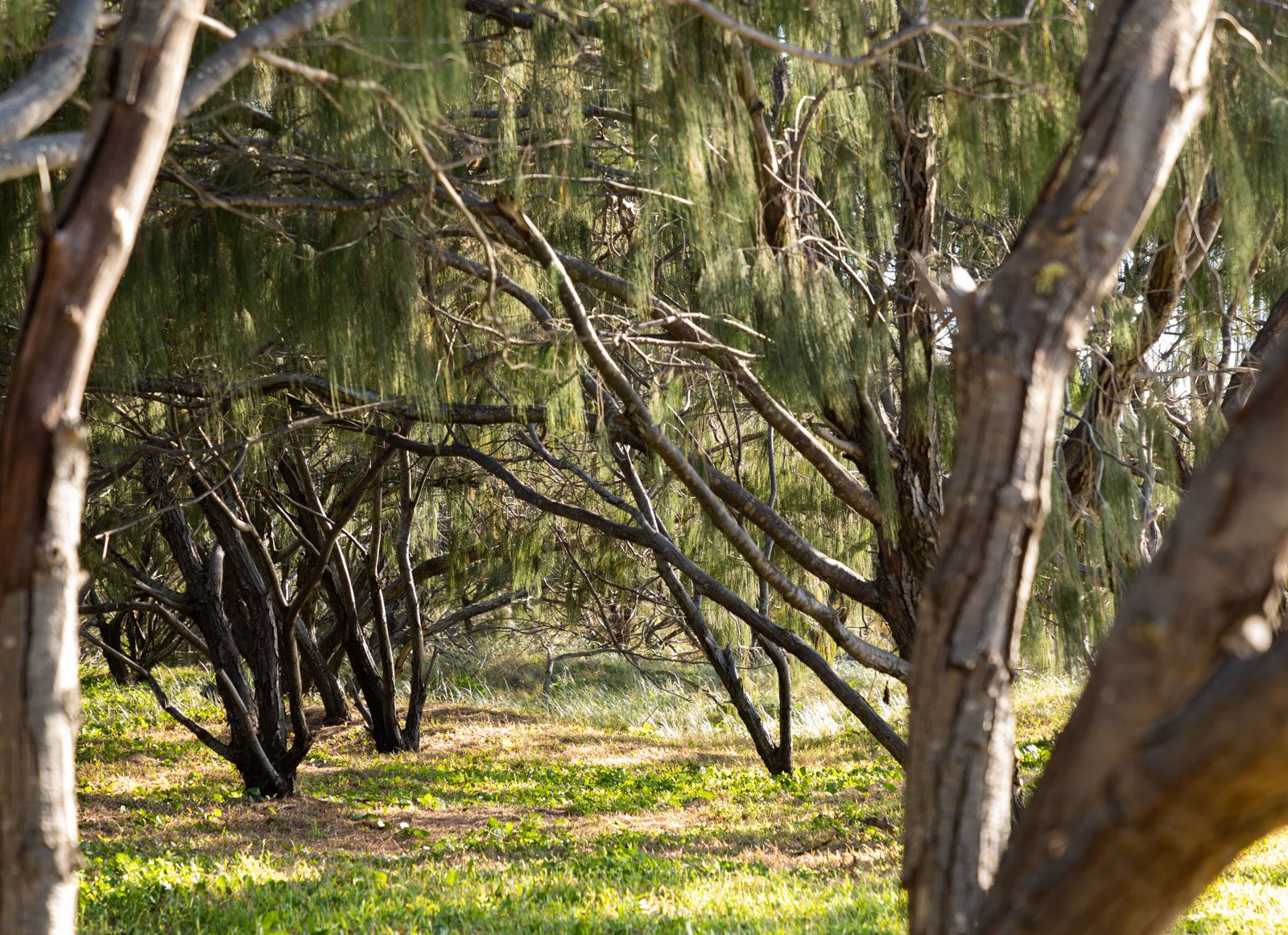 Explore our region: Mary Kinross Park – BRC Now | the latest from your ...