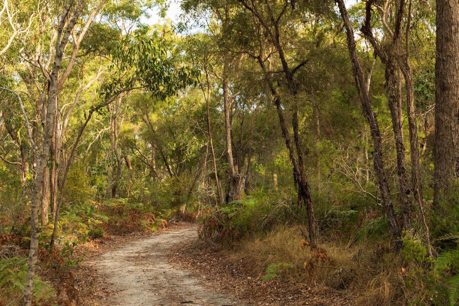 Explore our region: Meadowvale Environmental Reserve – BRC Now | the ...