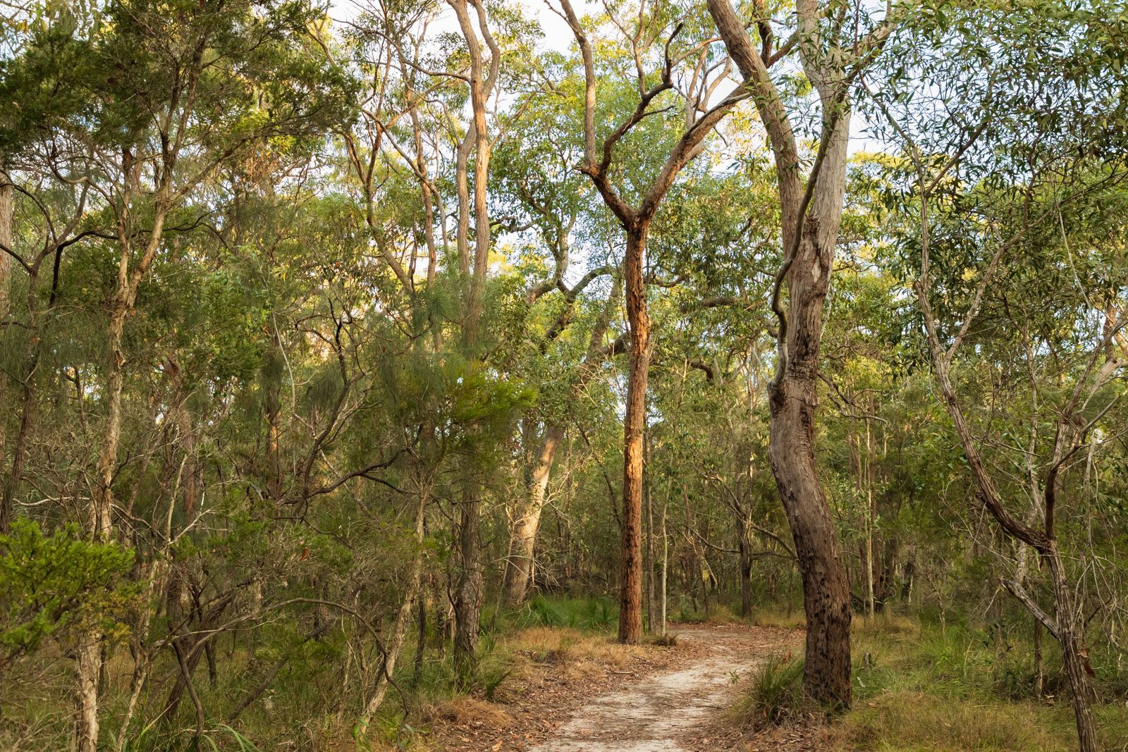 Explore our region: Meadowvale Environmental Reserve – BRC Now | the ...