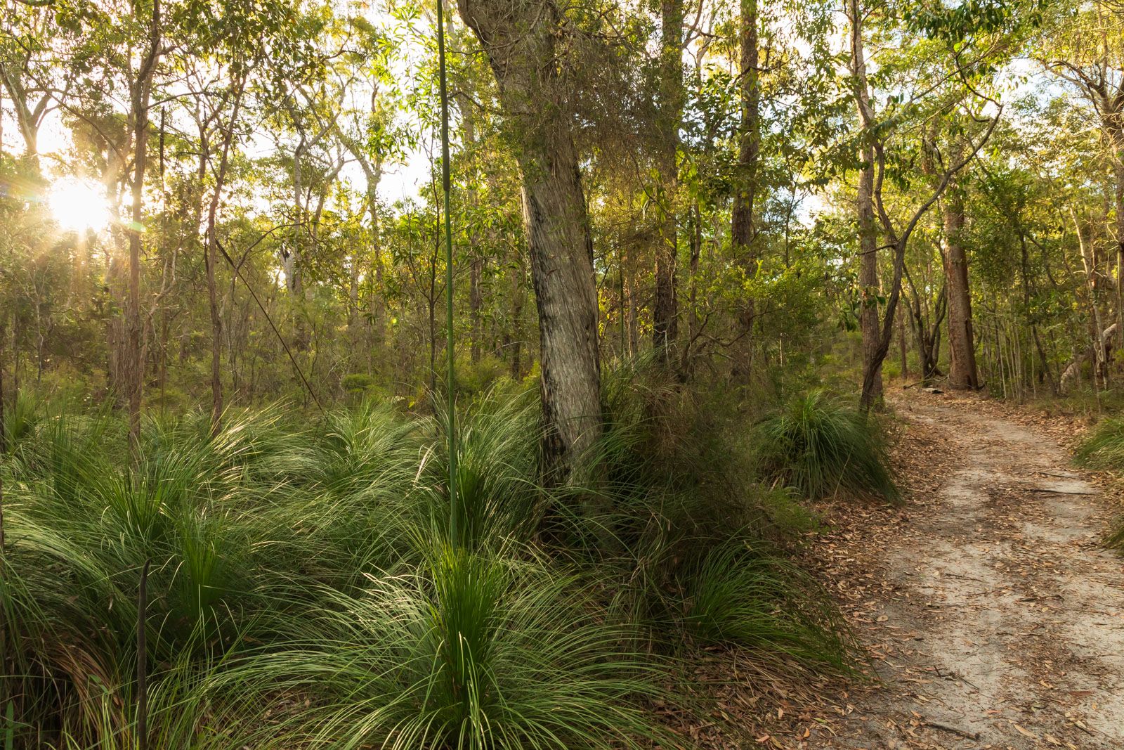 Explore our region: Meadowvale Environmental Reserve – BRC Now | the ...