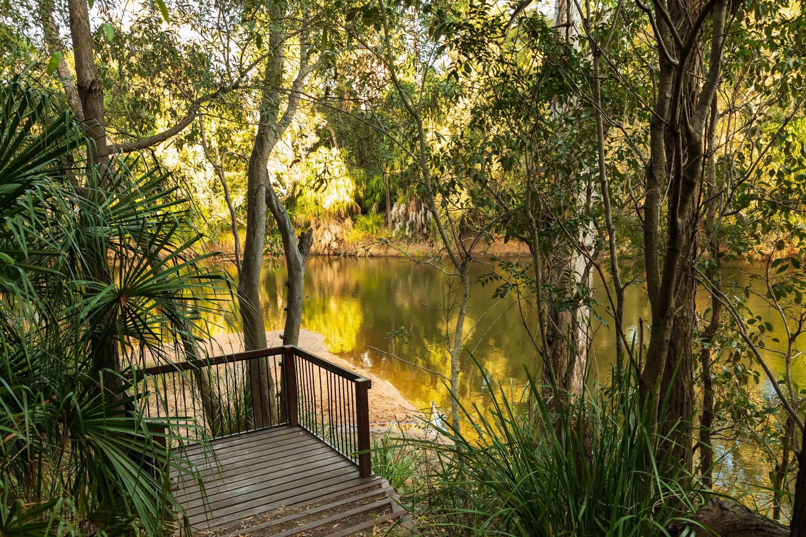 Explore our region: Meadowvale Environmental Reserve – BRC Now | the ...