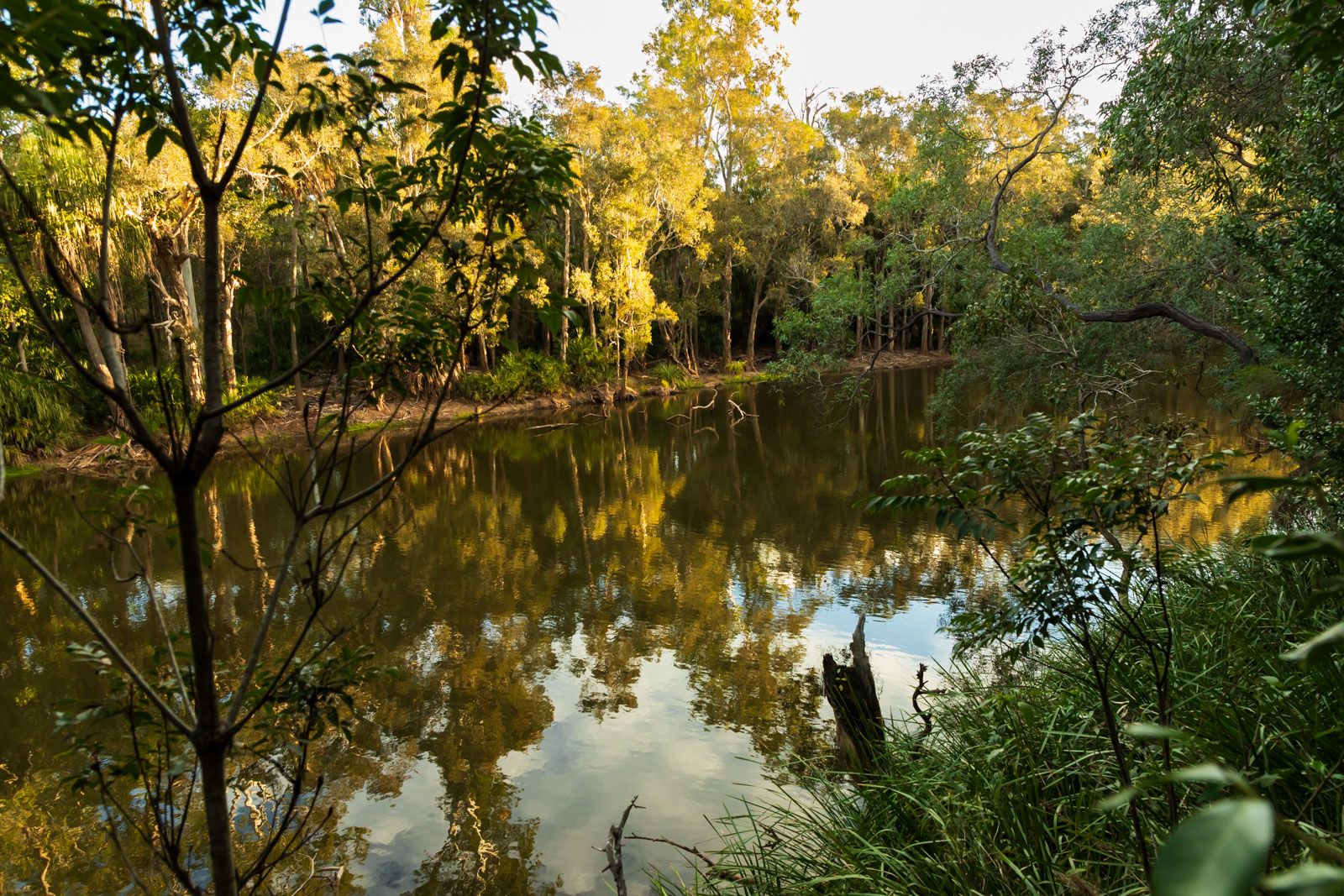 Explore our region: Meadowvale Environmental Reserve – BRC Now | the ...
