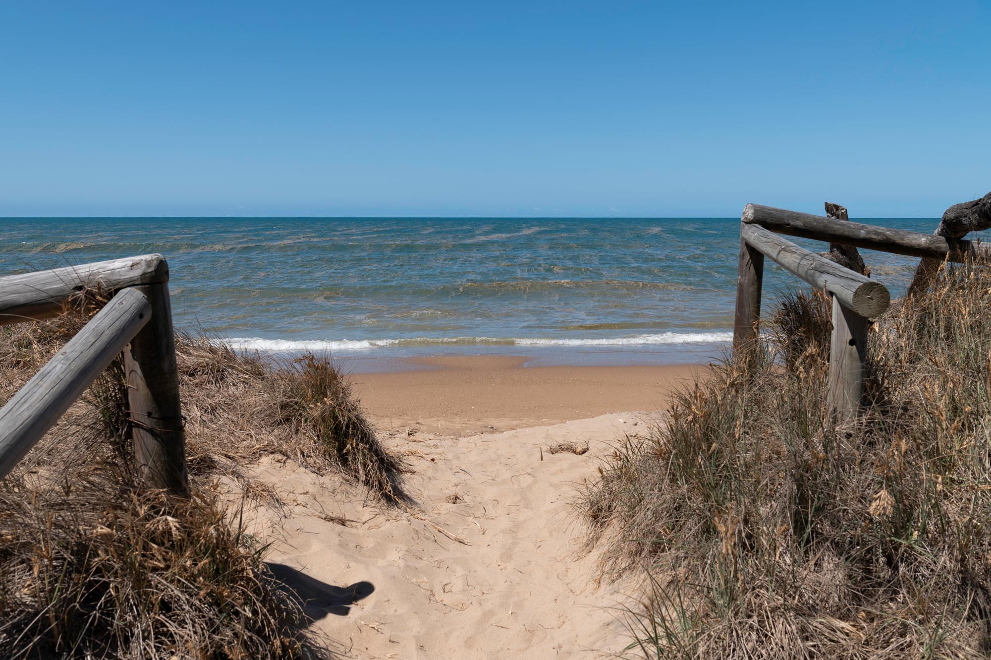 Explore our region: Norval Park – BRC Now | the latest from your Council