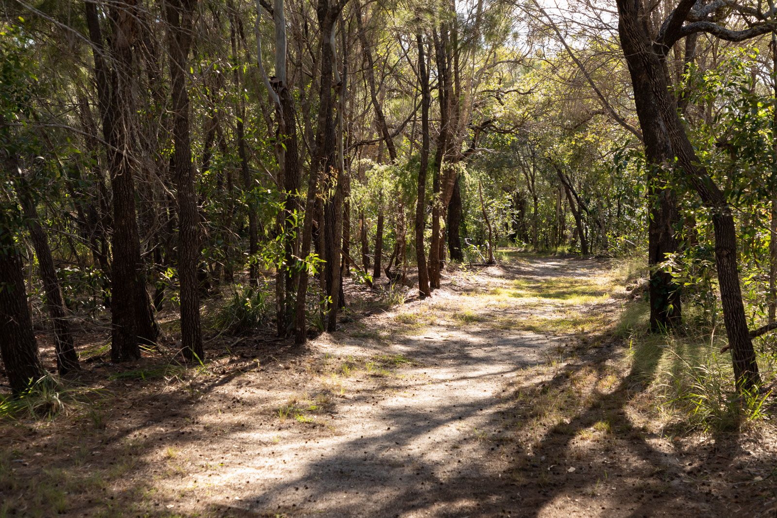 Explore our region: Riverview Environmental Reserve – BRC Now | the ...