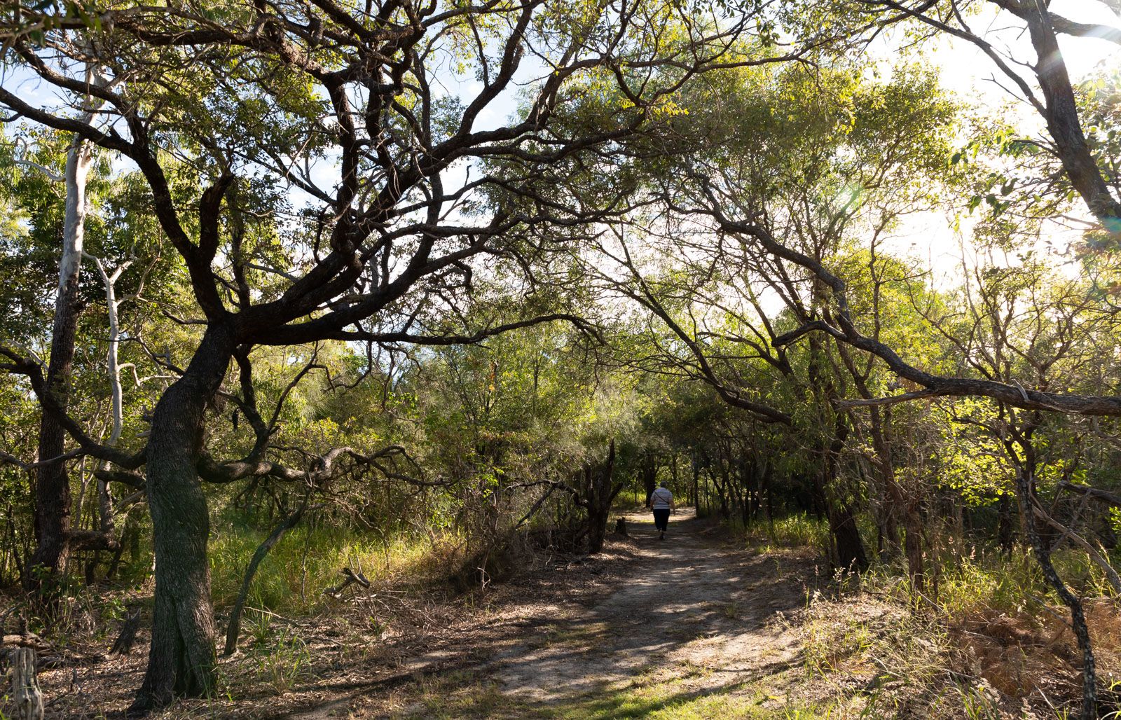 Explore our region: Riverview Environmental Reserve – BRC Now | the ...