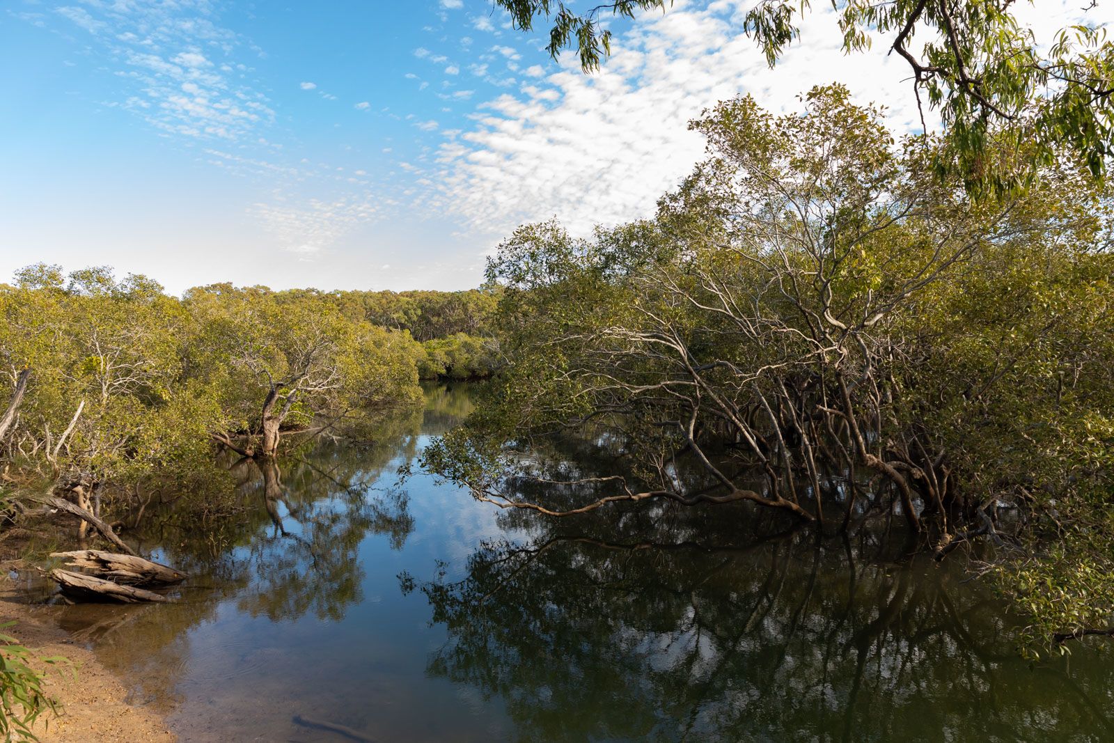 Explore our region: Riverview Environmental Reserve – BRC Now | the ...