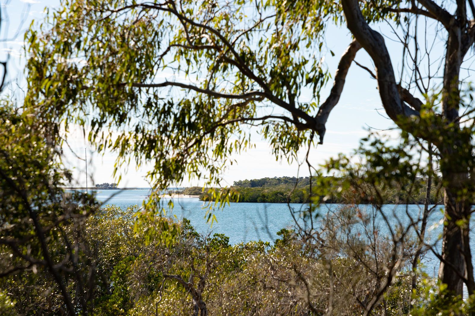 Explore our region: Riverview Environmental Reserve – BRC Now | the ...