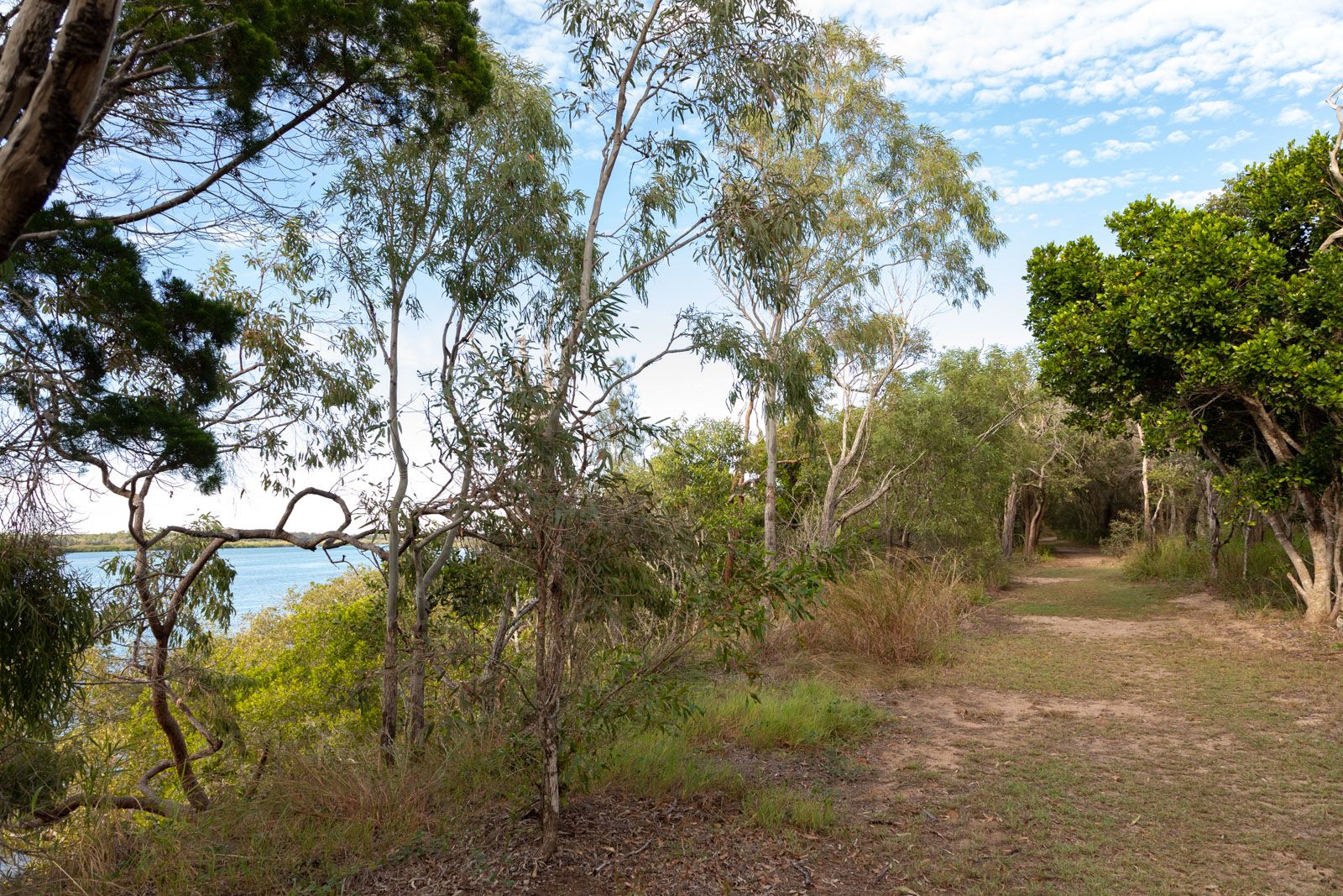 Explore our region: Riverview Environmental Reserve – BRC Now | the ...