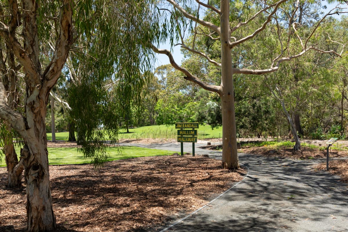 Explore our region: Wallum Walk at Bundaberg Botanic Gardens – BRC Now ...