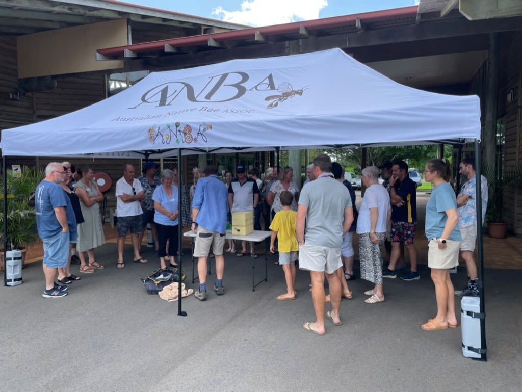 In Our Group with Wide Bay Branch of the Australian Native Bee ...