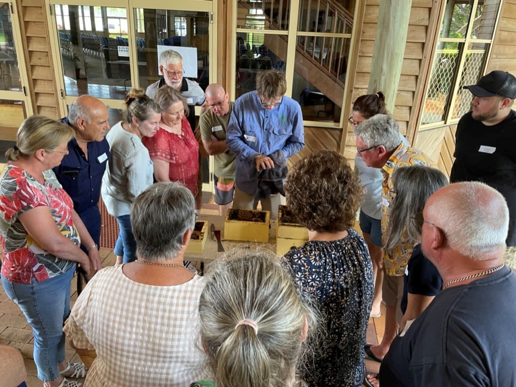 In Our Group with Wide Bay Branch of the Australian Native Bee ...