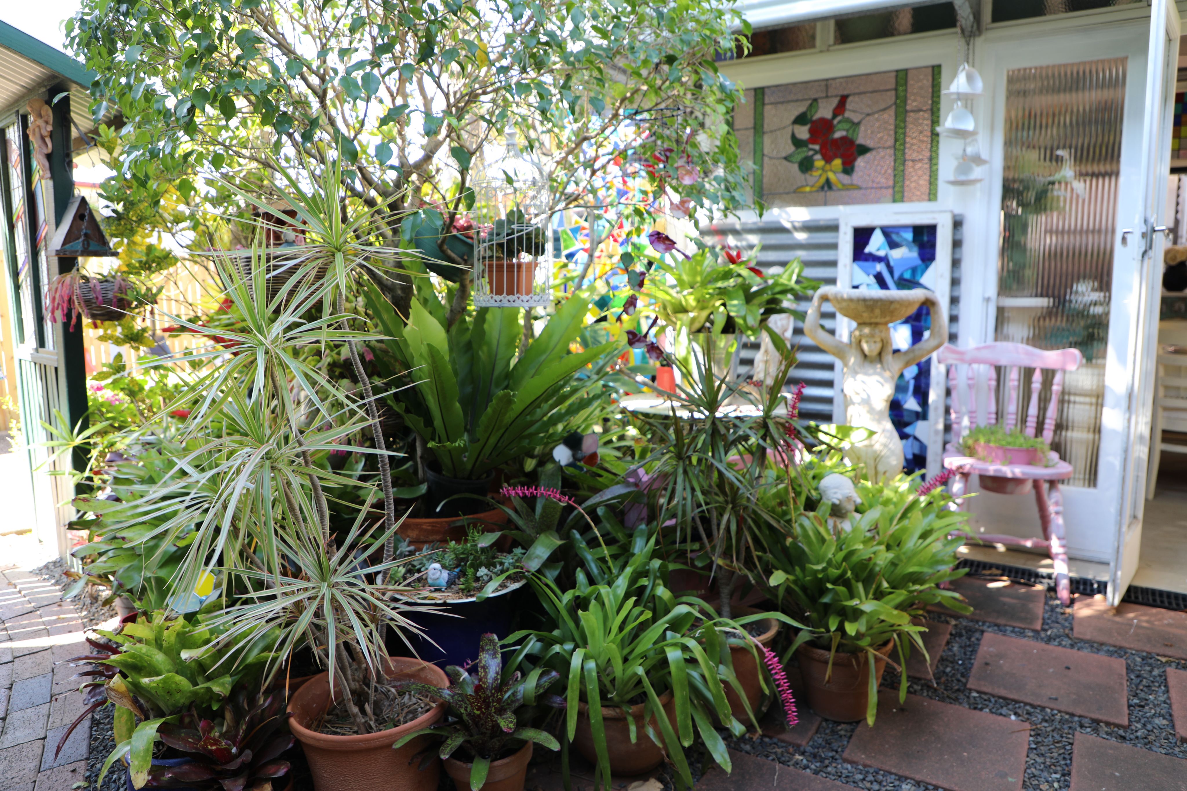 Jan’s green garden flourishes on low maintenance – BRC Now | the latest ...