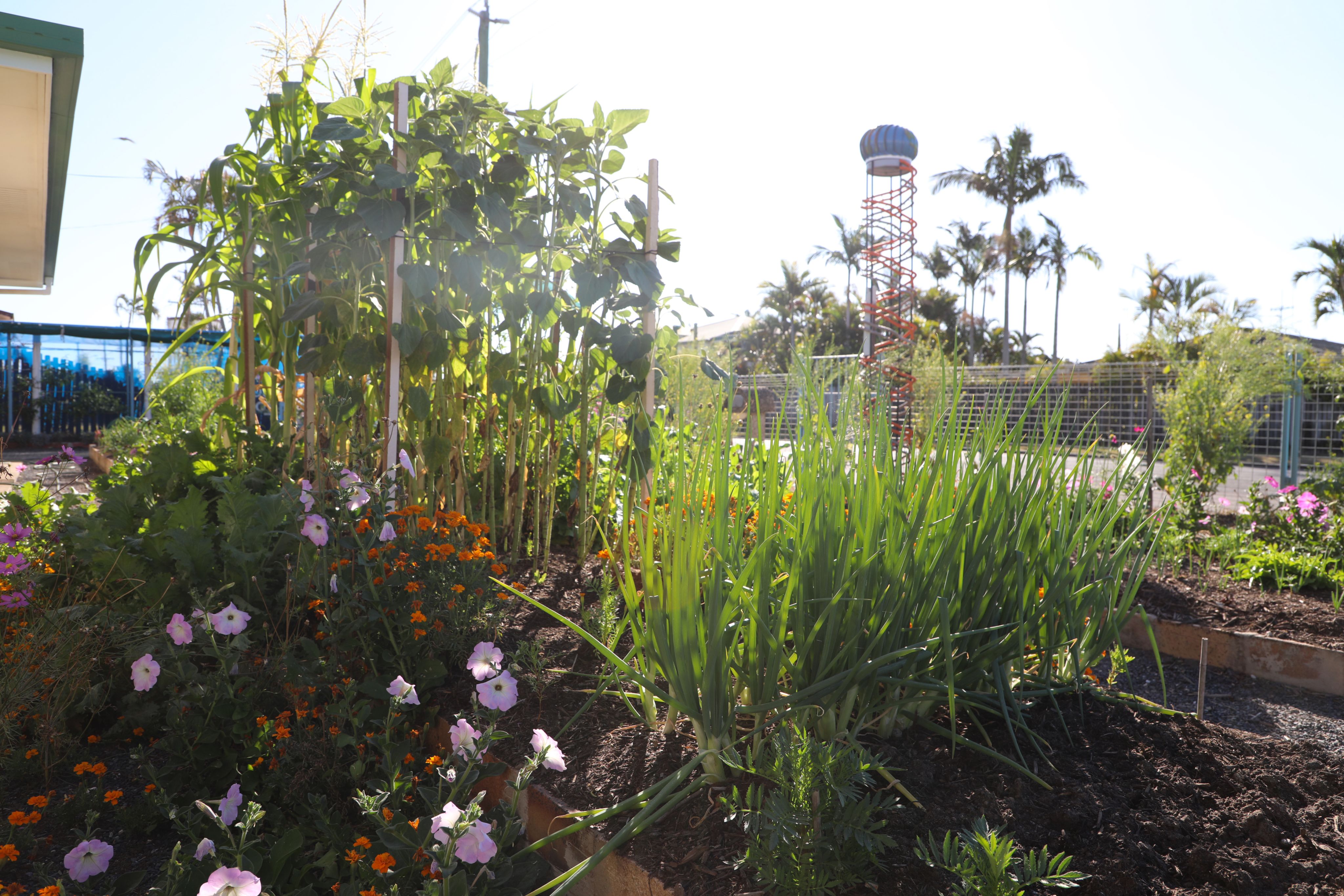 Lenzie’s practical garden one with nature – Bundaberg Now delivers free ...