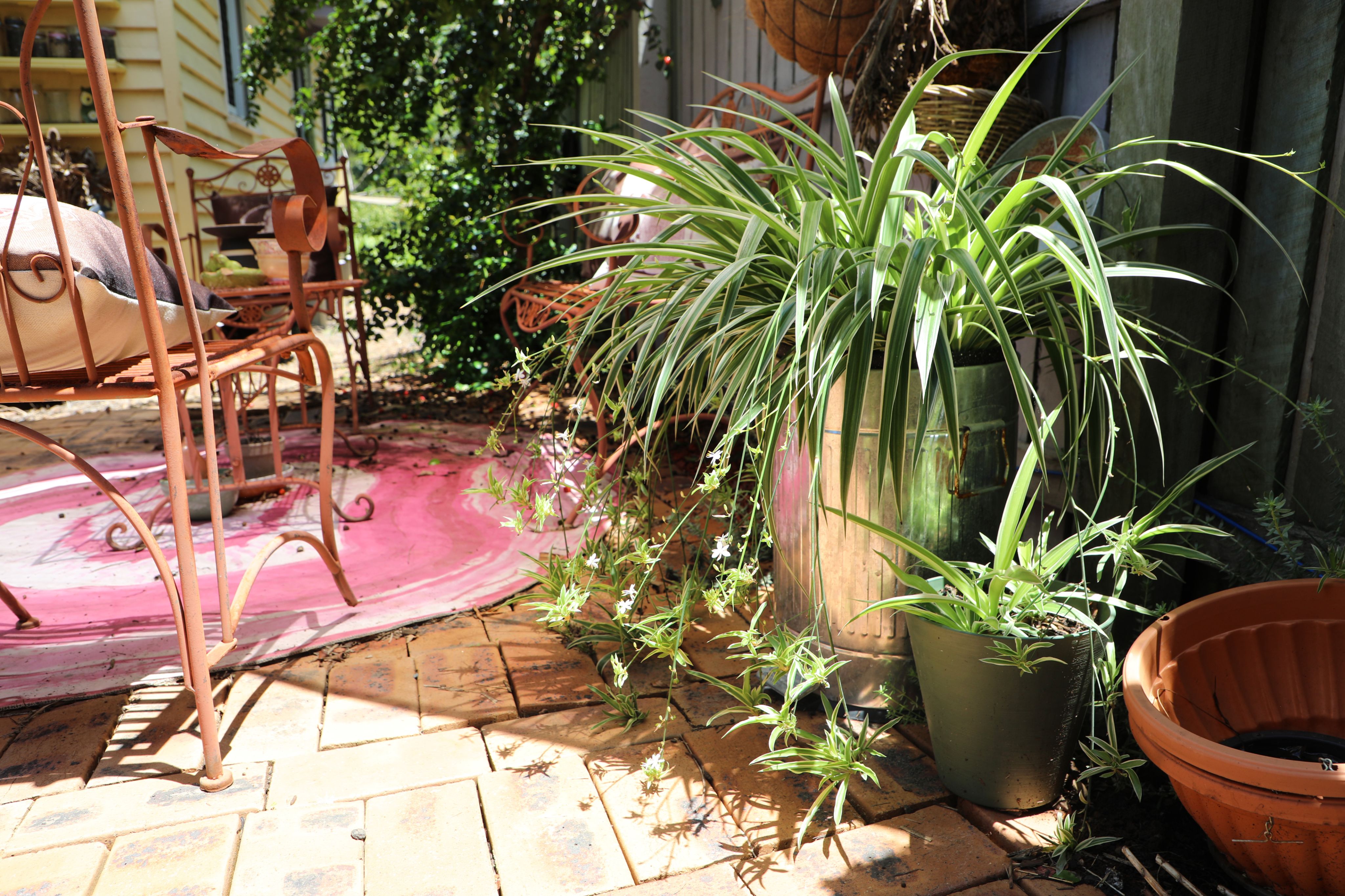 Mel’s eccentric Gin Gin garden – BRC Now | the latest from your Council