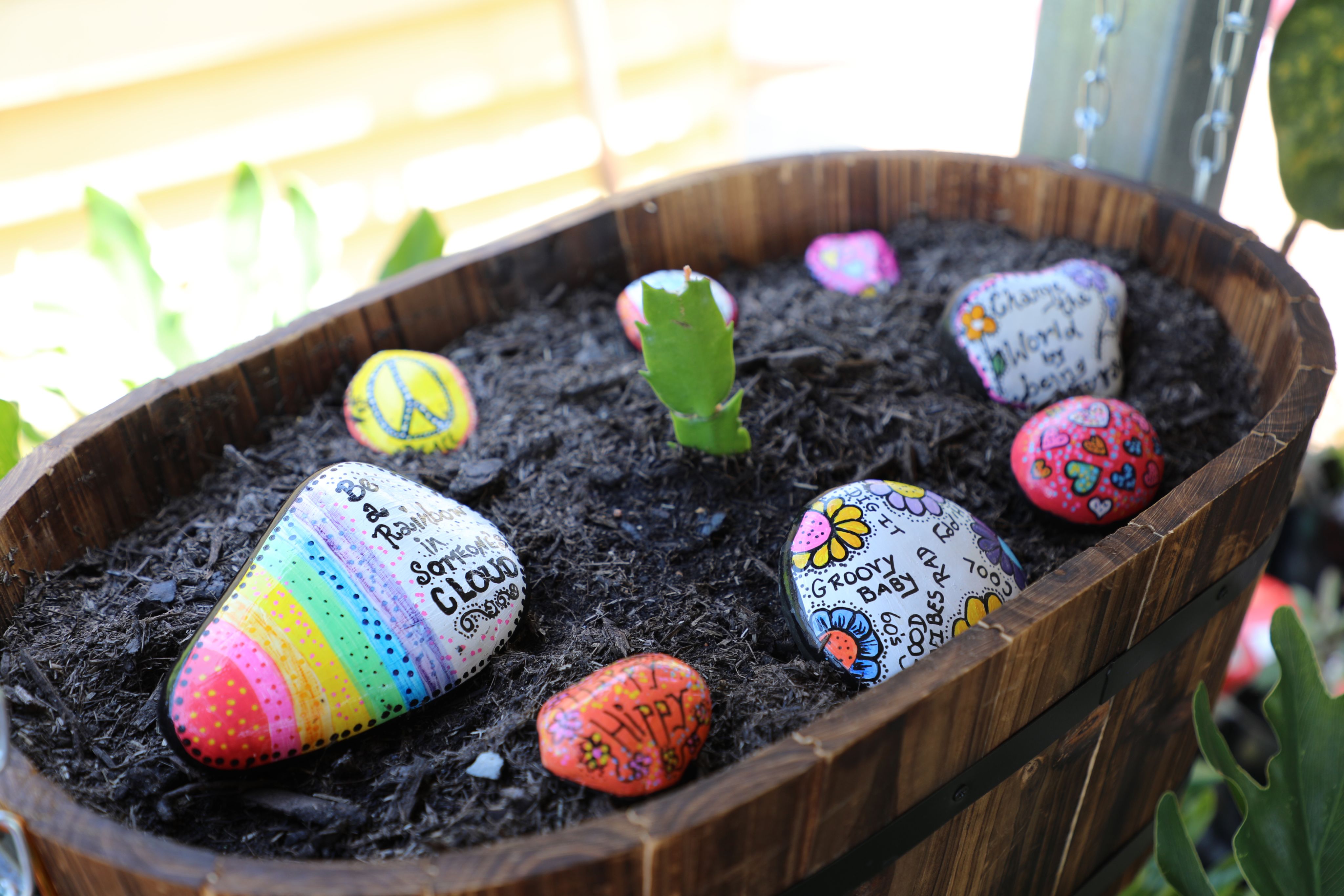 Mel’s eccentric Gin Gin garden – BRC Now | the latest from your Council