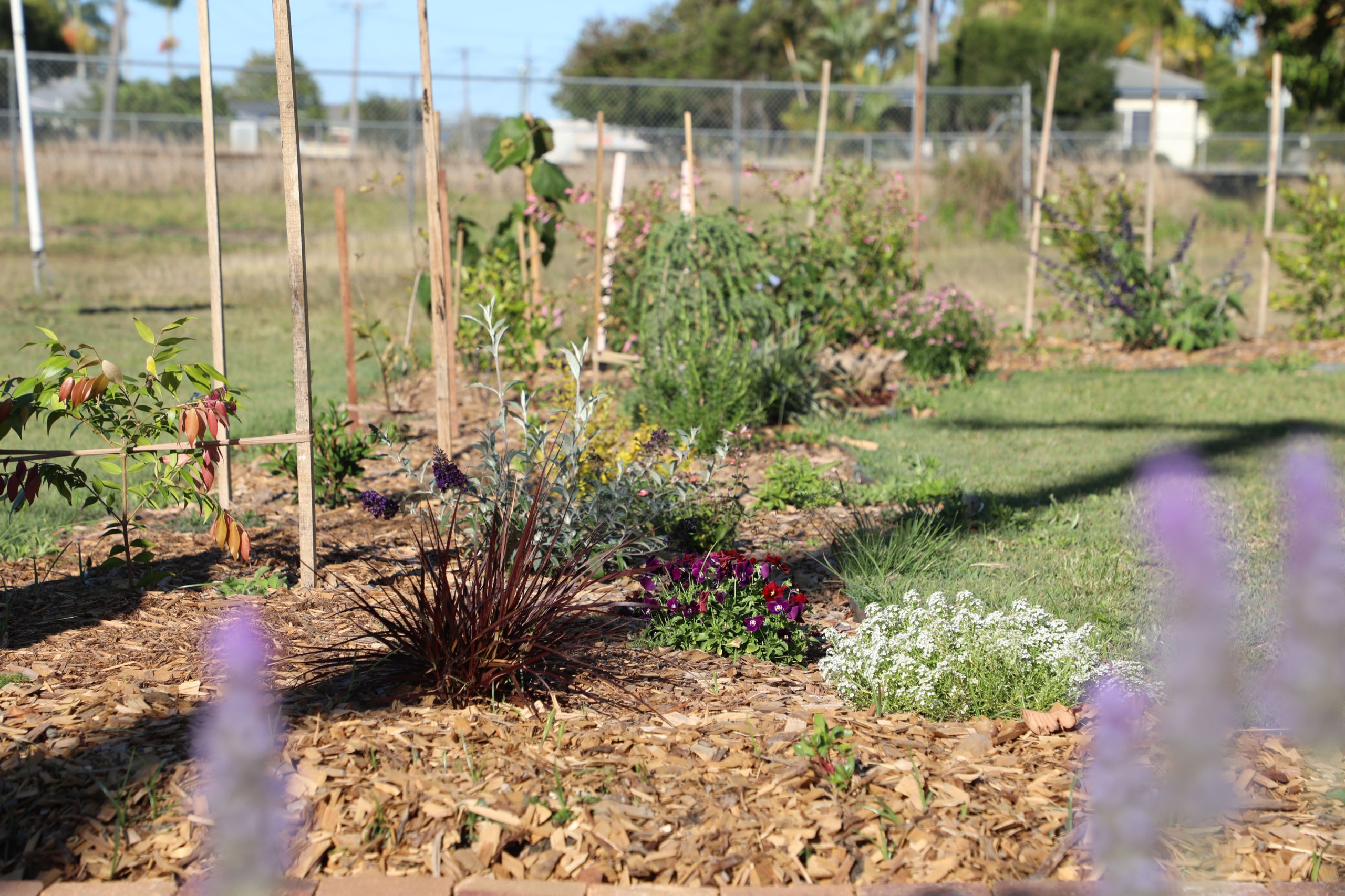 Spring has sprung in Karen’s cottage garden – BRC Now | the latest from ...