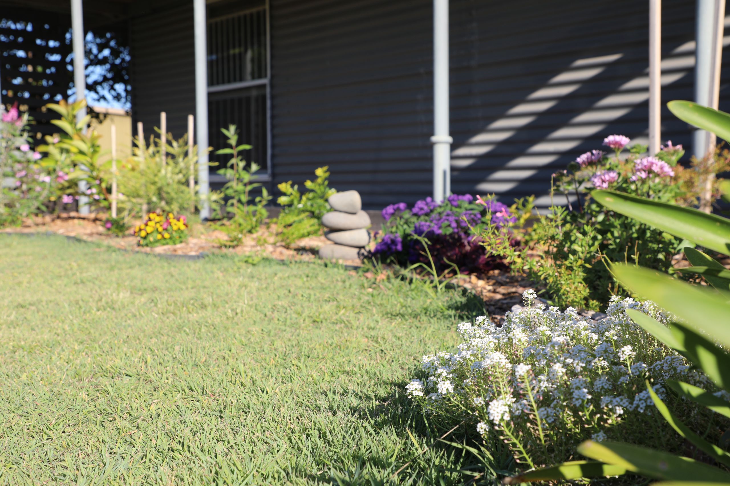 Spring has sprung in Karen’s cottage garden – BRC Now | the latest from ...