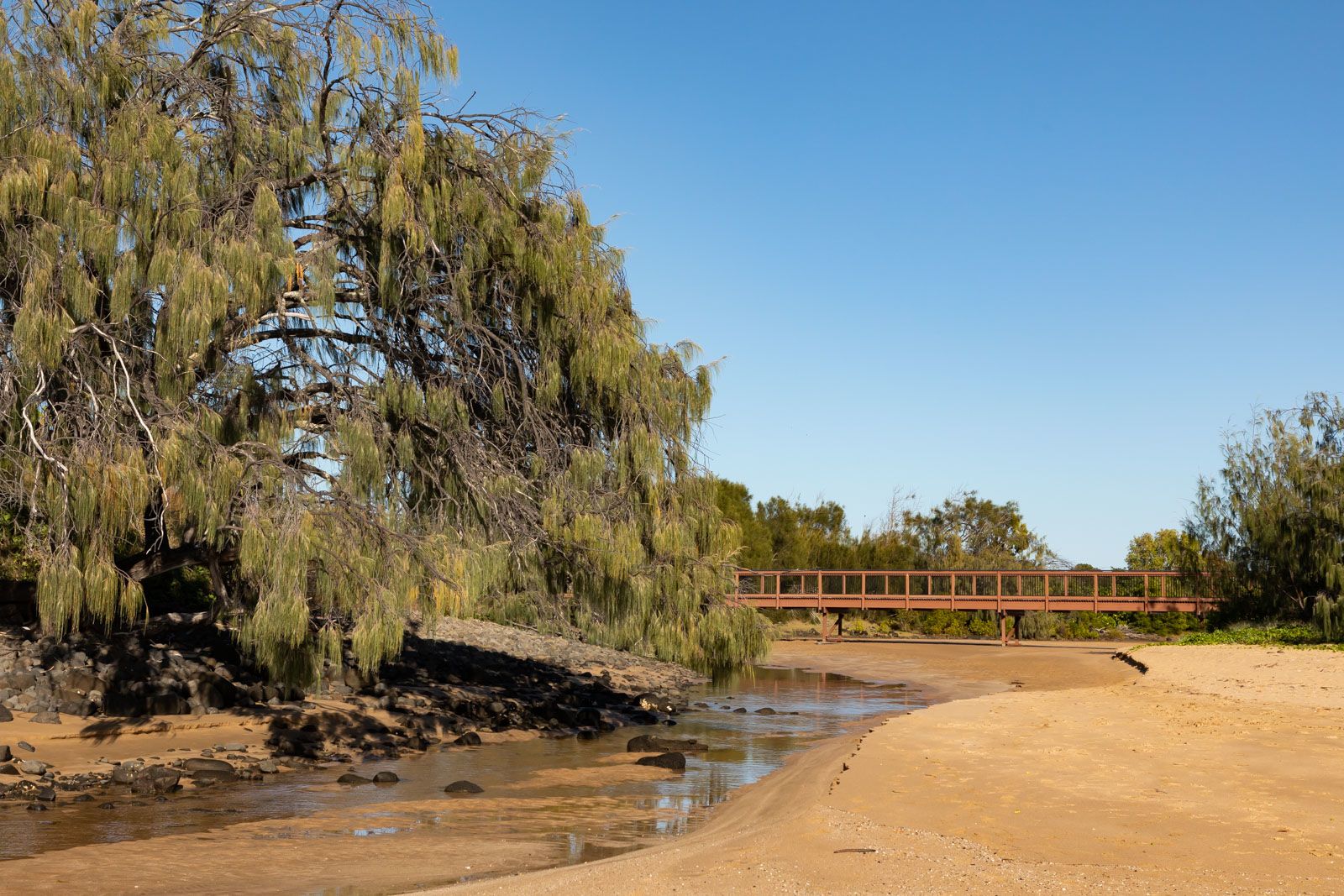 Weekender: Bullyard's Shané a Queensland Young Woman of the Year – BRC ...
