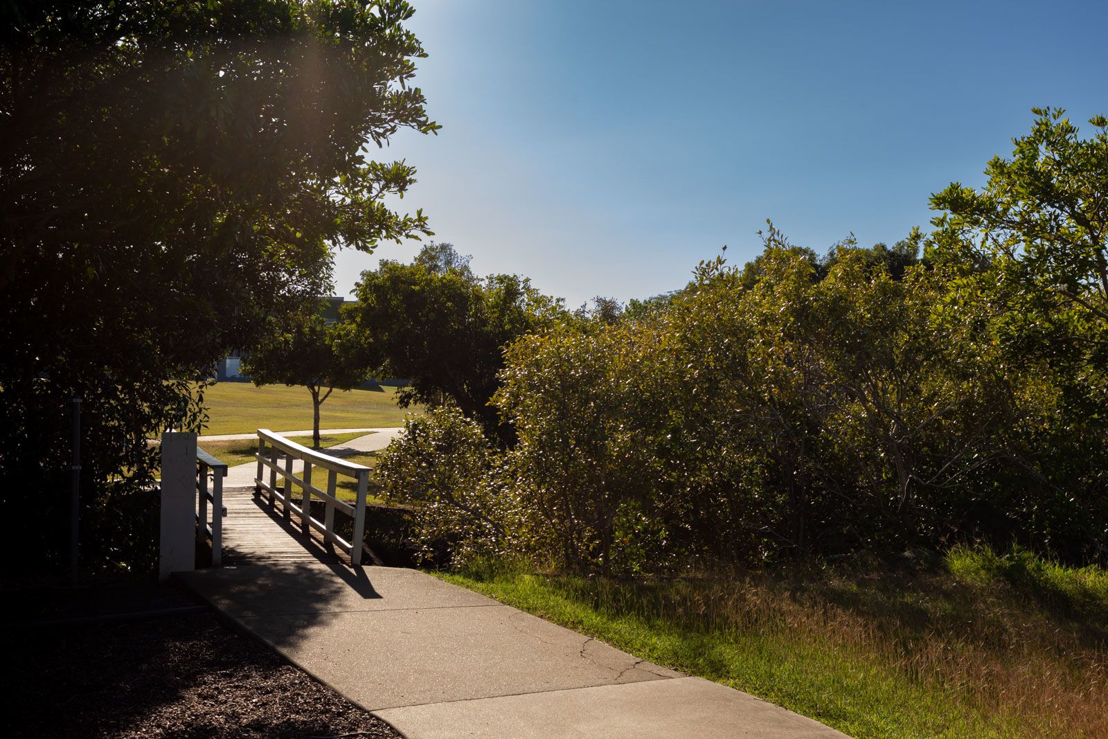 Weekender: Bullyard's Shané a Queensland Young Woman of the Year – BRC ...