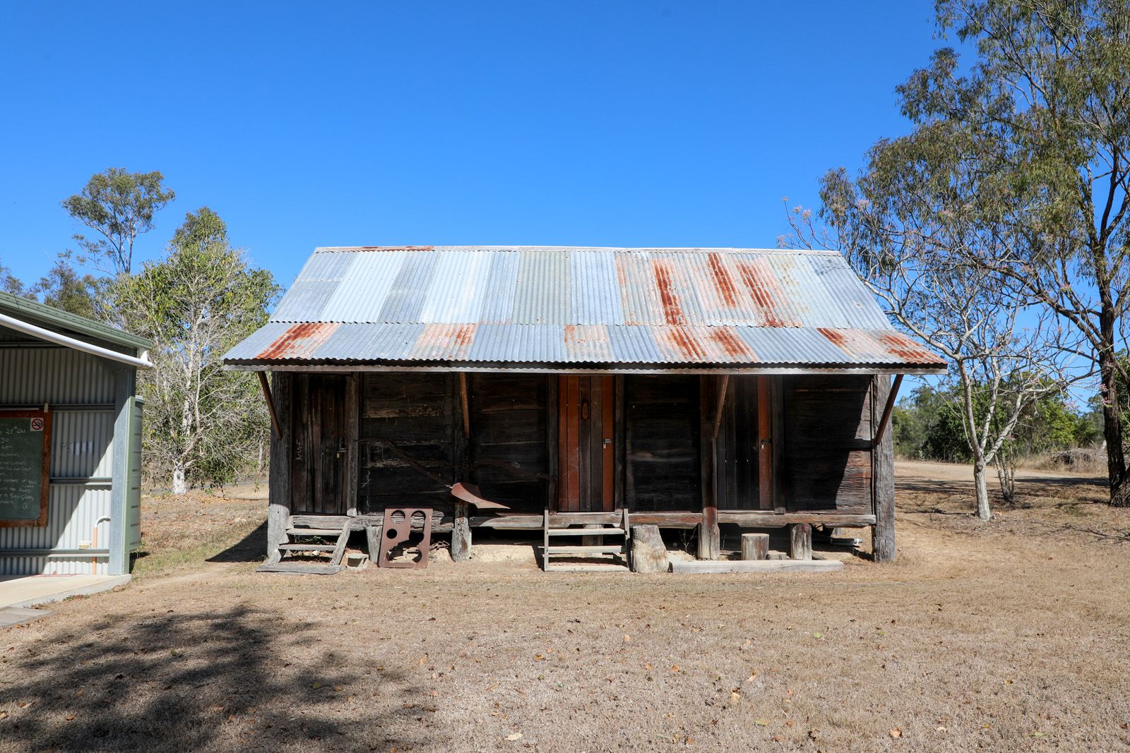 Weekender: Paw-fect celebration for new dog park – BRC Now | the latest ...